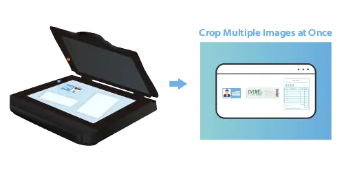 AVISION FB5100 Flatbed Scanner Price in Bangladesh | RYANS