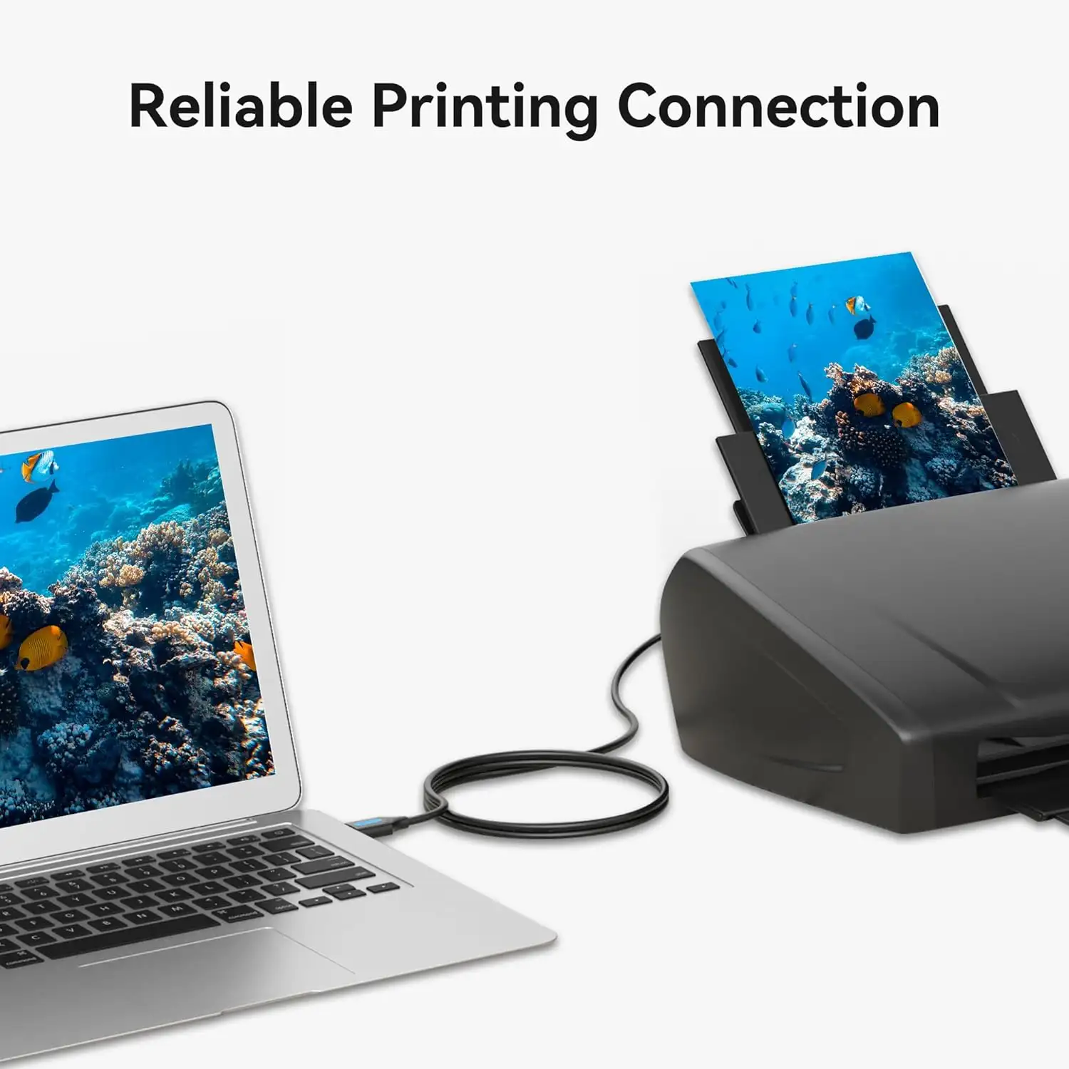 Vention COQBJ Printer Cable Price in BD | RYANS