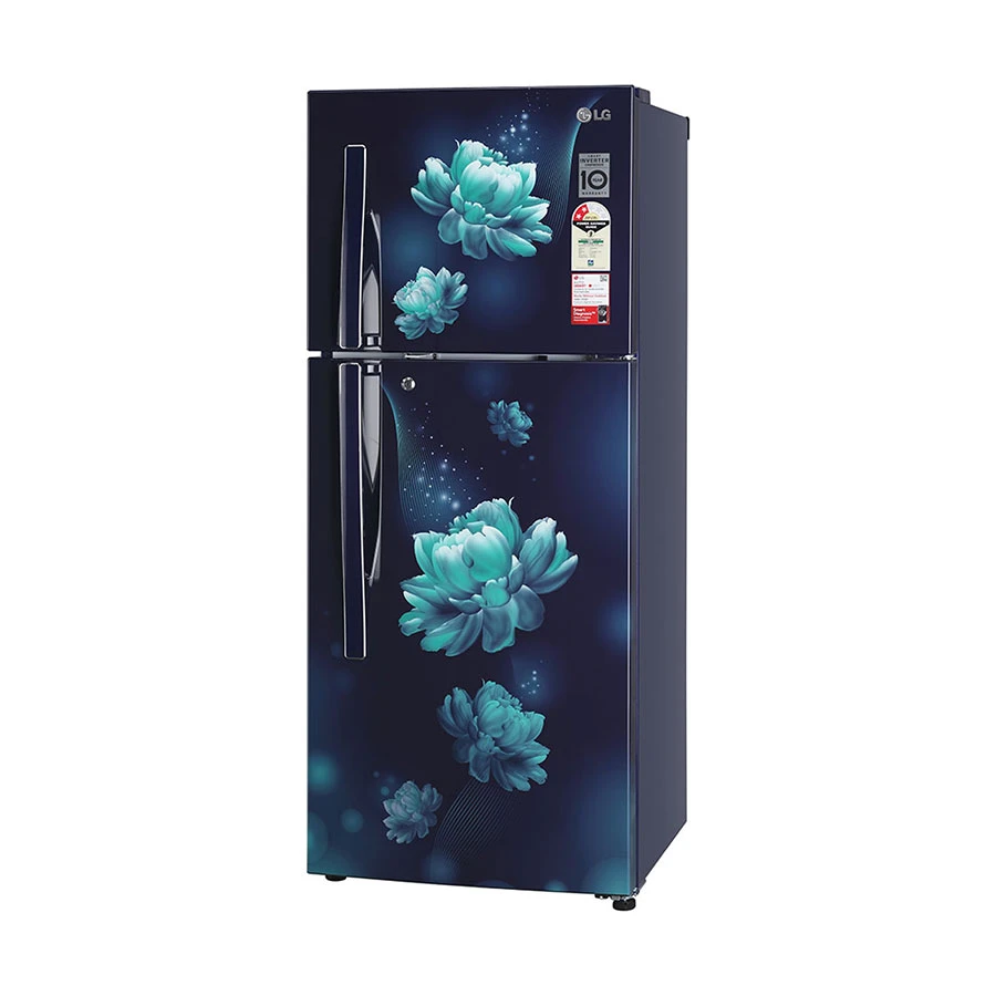 LG GL-G302RPBB Refrigerator Price in Bangladesh | RYANS