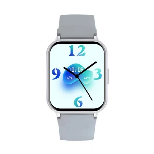 WiWU SW09 Silver Smartwatch Price in Bangladesh | RYANS